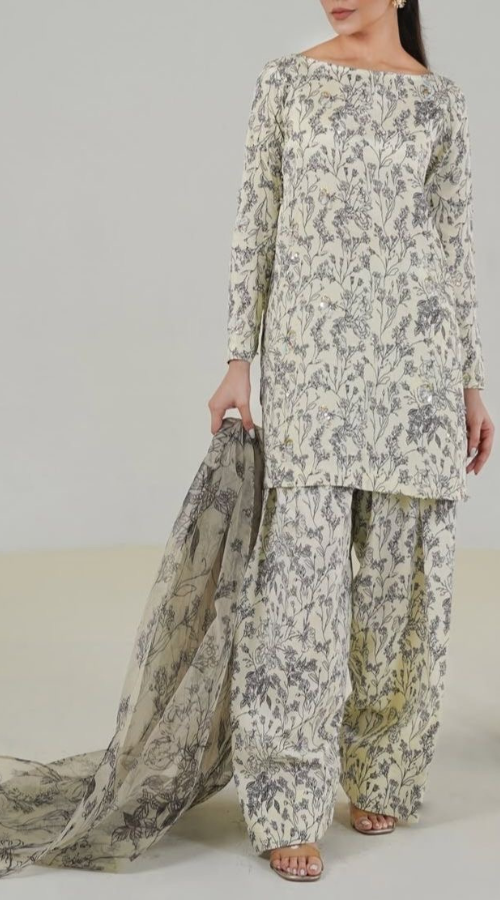 All you need to know about Farshi Salwar